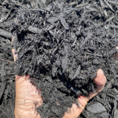 Black Bark Mulch | Black Mulch Ottawa | Enhanced Black Bark Mulch