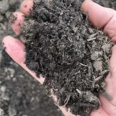 Bedding Soil | Greely Sand & Gravel Inc.