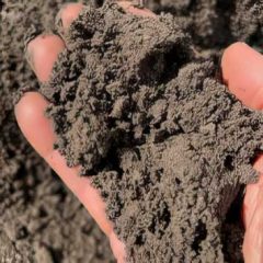 Contractor’s Soil | Greely Sand & Gravel Inc.